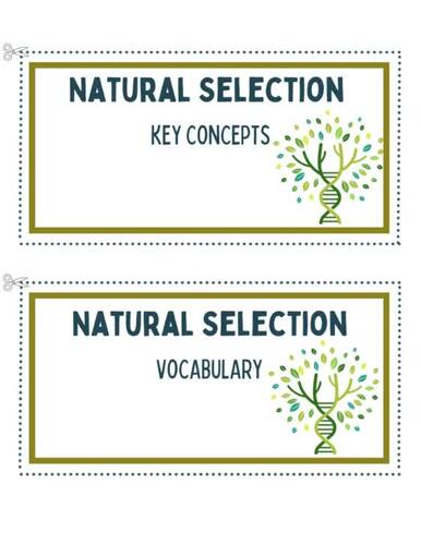 Amplify Science: Unit 6 Natural Selection Focus Wall by Sanvilla Science