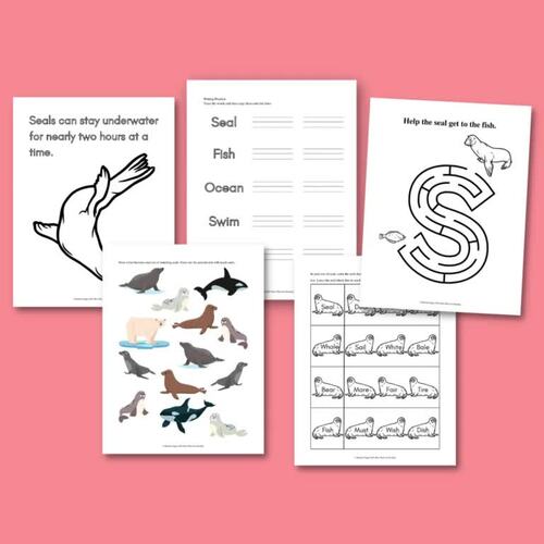 Seal Lesson with Story Worksheets Puppets and More by More Than Just ...