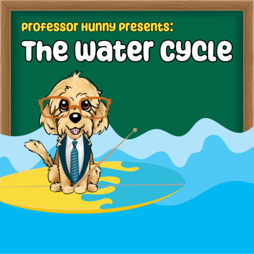 Learn The Water Cycle With Professor Hunny by Hunny & Koko | TPT