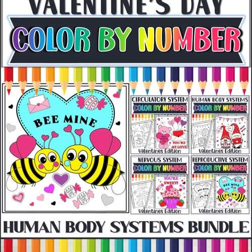 Human Body Systems Valentine's Day Color by Number Bundle | Science ...