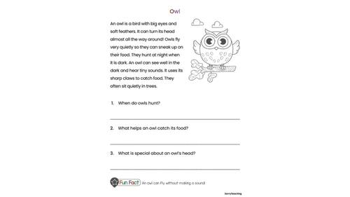 Birds Reading Comprehension Workbook | Nonfiction Passages with Questions