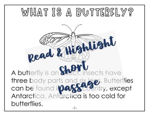 Emergency Sub Plan Science Butterfly Life Cycle 2nd 3rd Grade Science ...