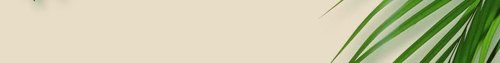 TPT Store Leaderboard Banner | Time to Save Sale Banner Version 2