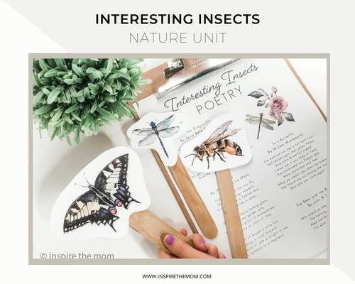 Interesting Insects Unit Nature Study, Prek-2nd, Spring Unit, Bugs, Science