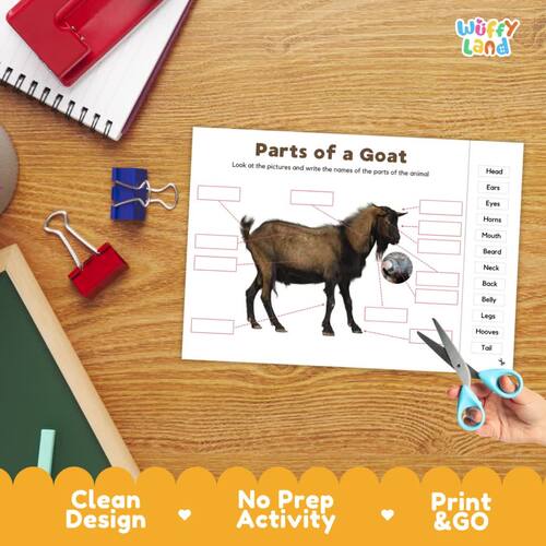 Parts of a Goat Diagram & Labeling Activity | Farm Animal Anatomy ...