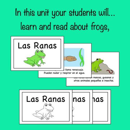 Las Ranas - Spanish Nonfiction Writing Unit by Robin Shelton | TPT