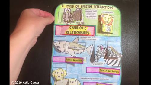 5 Types of Species Interactions (Competition, Predation, & Symbiosis)