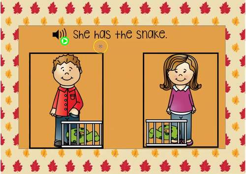 Pronouns BOOM Card BUNDLE- Pet Shop by Speech Packtivities | TPT