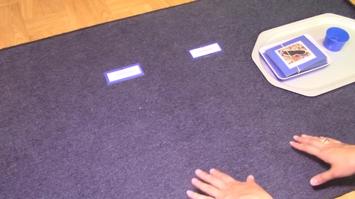 Montessori vertebrates and invertebrates presentation 2 (Abstract)