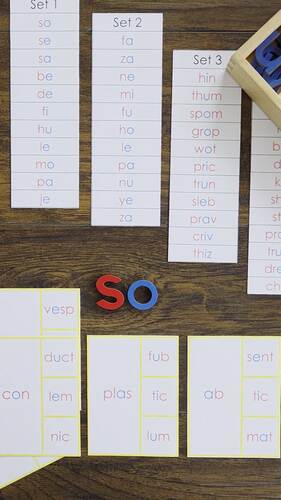 Modern Montessori Reading SOR Open and Closed Syllable Activities