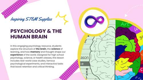 Psychology & The Human Brain Worksheets & Activities | A Comprehensive ...