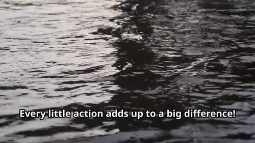 How Humans Affect the Environment with Chirpy (Downloadable Video)