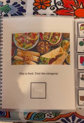 Adapted Book: Let's Learn about Categories by Life Skills 2 Learn