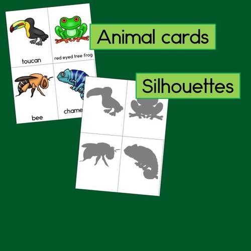 Rainforest Animals | Cards for Read the Room Matching Games and More