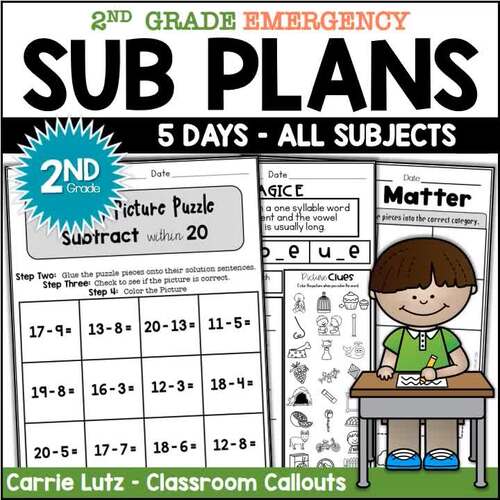 Sub Plans Second Grade Sub Plans Emergency Sub Plans Sub Tub Binder 50% off