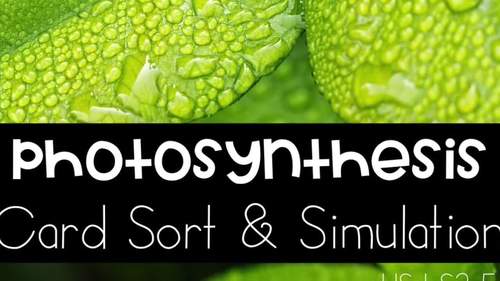 Exploring Photosynthesis (NGSS MS-LS1-6, HS-LS2-5) by iExploreScience