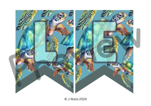 Turtles Research PROJECT | Writing Activity | Ocean Animals Fact File ...