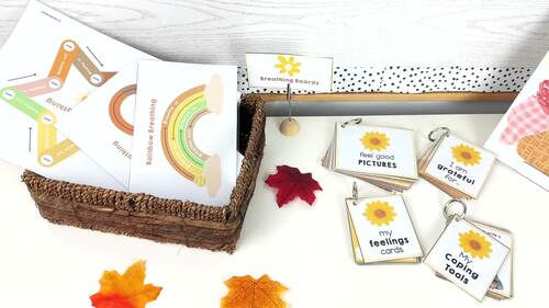 Fall SEL Calm Corner Decor, Self-Regulation Cards, Posters - Editable