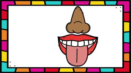 FRENCH 5 Senses BUNDLE - Les 5 sens by Peg Swift French Immersion