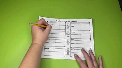 Human Body Systems Working Together | Functions Practice | Linking Card ...