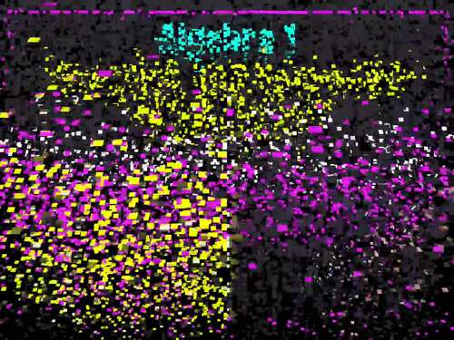 Algebra 1 Florida BEST Unit 6 Exponential Functions Practice Worksheets