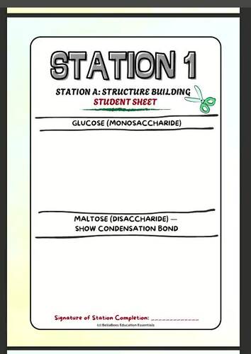 IBDP Biology B1.1 Carbohydrates & Lipids Stations Activity | First ...