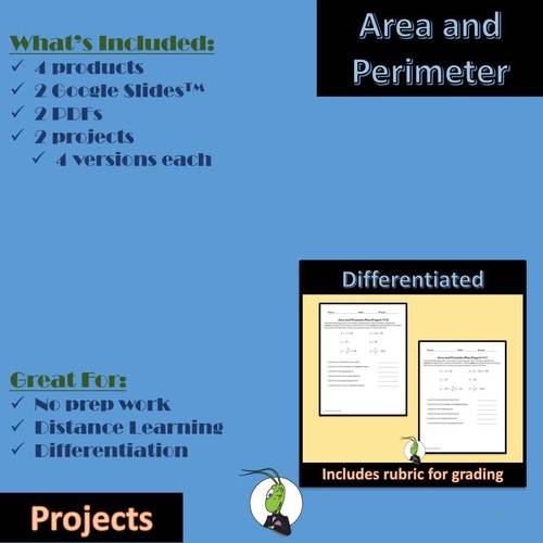 Area and Perimeter with Linear Graphing Mini Project Bundle for Geometry