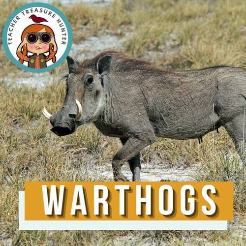 Warthog Africa animal research information article for writing animal ...