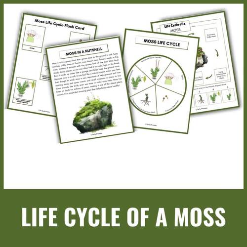 Life Cycle Of Moss, non-vascular flowerless plant diagram science unit ...