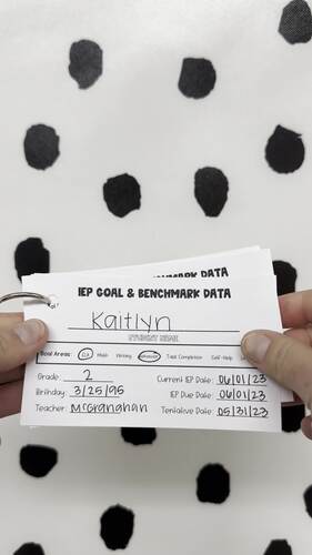 IEP Progress Monitoring and Service Note Cards by The Inclusive Bridge