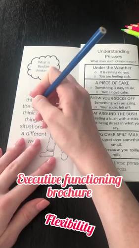 Executive Functioning Brochure Flexibility by Fish Climbing Trees