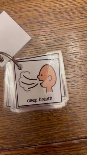 BOARDMAKER PECS Visual Supports & Schedules | Behavior Lanyard ...