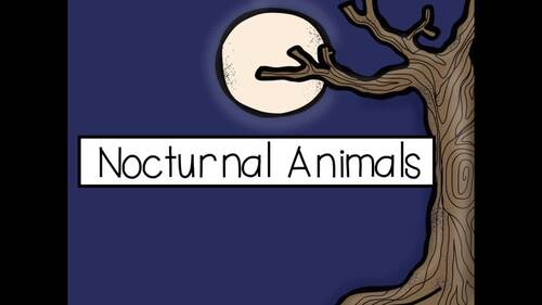 Fall Set 1 Circle Time Songs & Music With Activities | PreK ...