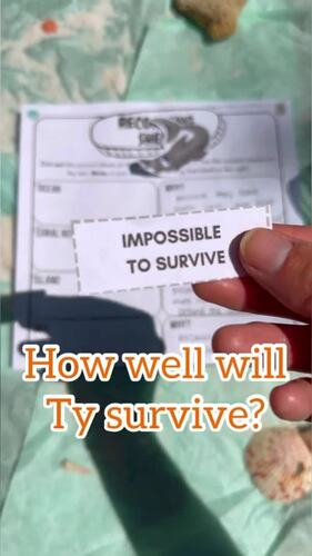 Ocean Habitat Survival Project for NGSS through STEAM: All About Sharks