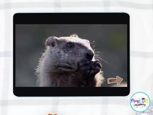 Groundhog Day 2nd 3rd Grade Escape Room & Virtual Field Trip Digital ...