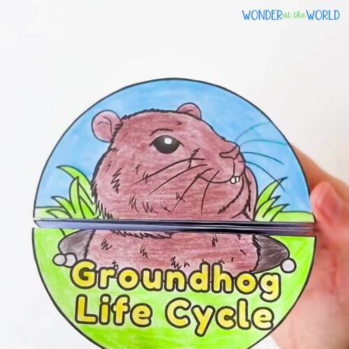 Groundhog life cycle fold sequence activity cut and paste Groundhog Day ...