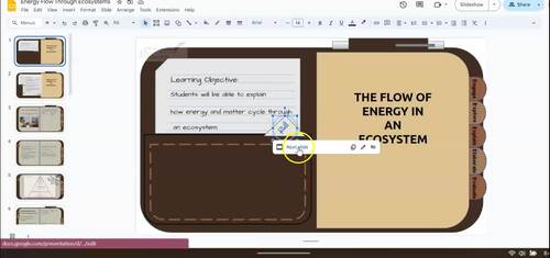 Energy Flow Through Ecosystems Interactive Lesson by Anna Estep | TPT
