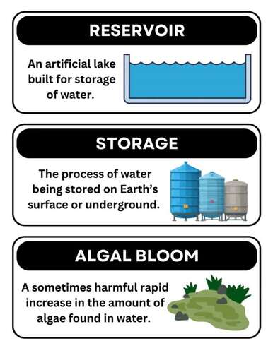 Unit 3 Earth's Interactive Systems Vocabulary Cards (Pocket Chart Size)