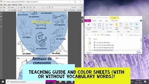 French Vocabulary ANIMALS categories ANIMAUX AUDIO Coloring sheets ...