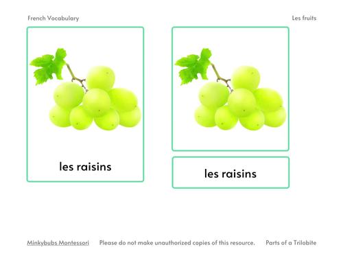 French Fruit Vocabulary en français 3 Part Cards by Minkybubs Montessori
