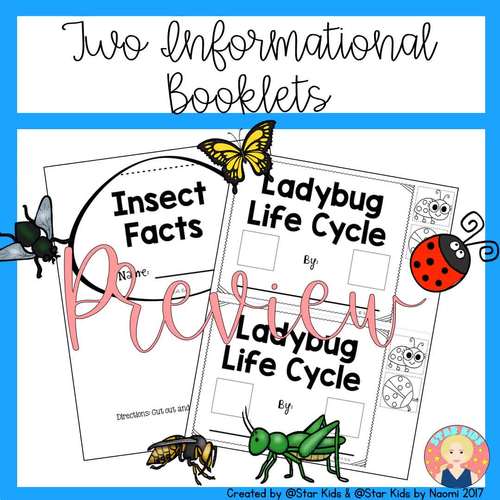 INSECTS | Animal Groups for K-1 by Star Kids | TPT