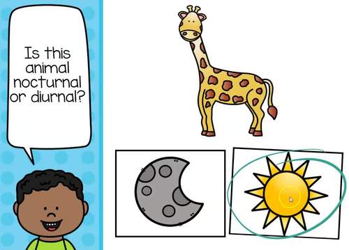 Boom Cards - Nocturnal vs. Diurnal by Cori Blubaugh - Mrs B's Beehive