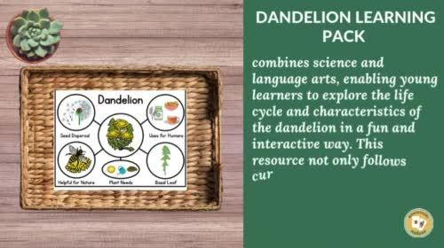 Parts of a Dandelion Life Cycle: Montessori 3 Part Cards Blackline Master