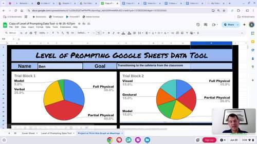 Level of Prompting Data Tool for Google Drive; Special Education, IEP Data