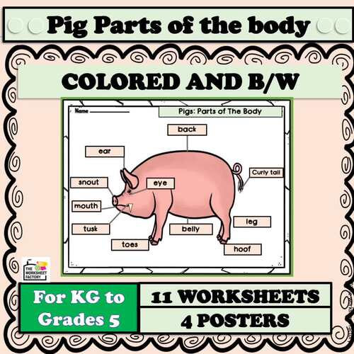 Pig Labeling Body Parts Worksheet Writing Graphic Organizers Farm ...