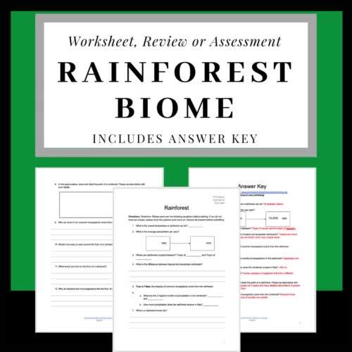 Understanding the Rainforest Biome: Worksheet, Review or Assessment