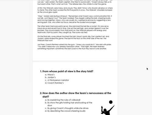 Volleyball Reading Comprehension | Plot Development & POV Practice ...