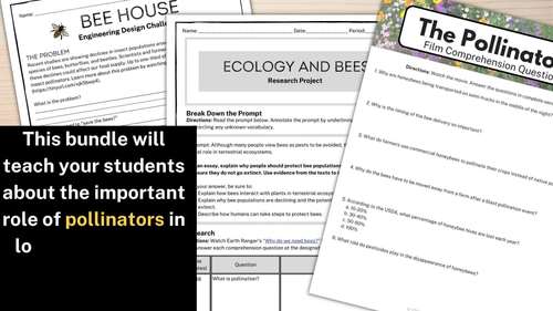Pollinators, Bees and Pollination Changes in Ecosystem Activities World ...