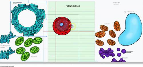 Digital Interactive Cell Organelles Prokaryote Eukaryote Distance Learning