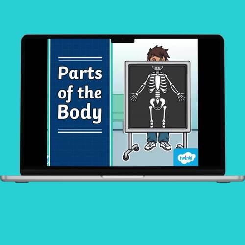 My Body Vocabulary |Display Posters|Functions Matching Cards|Audio Files